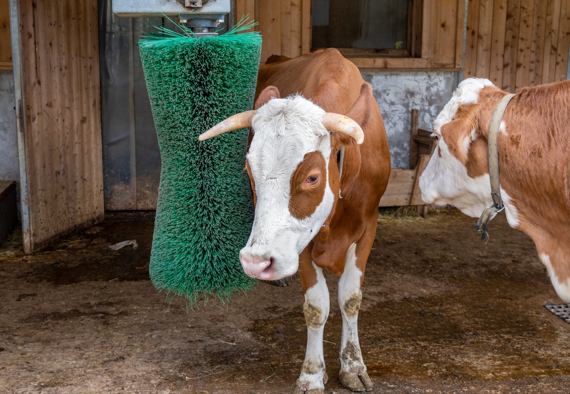 Livestock Dryers - TMCO